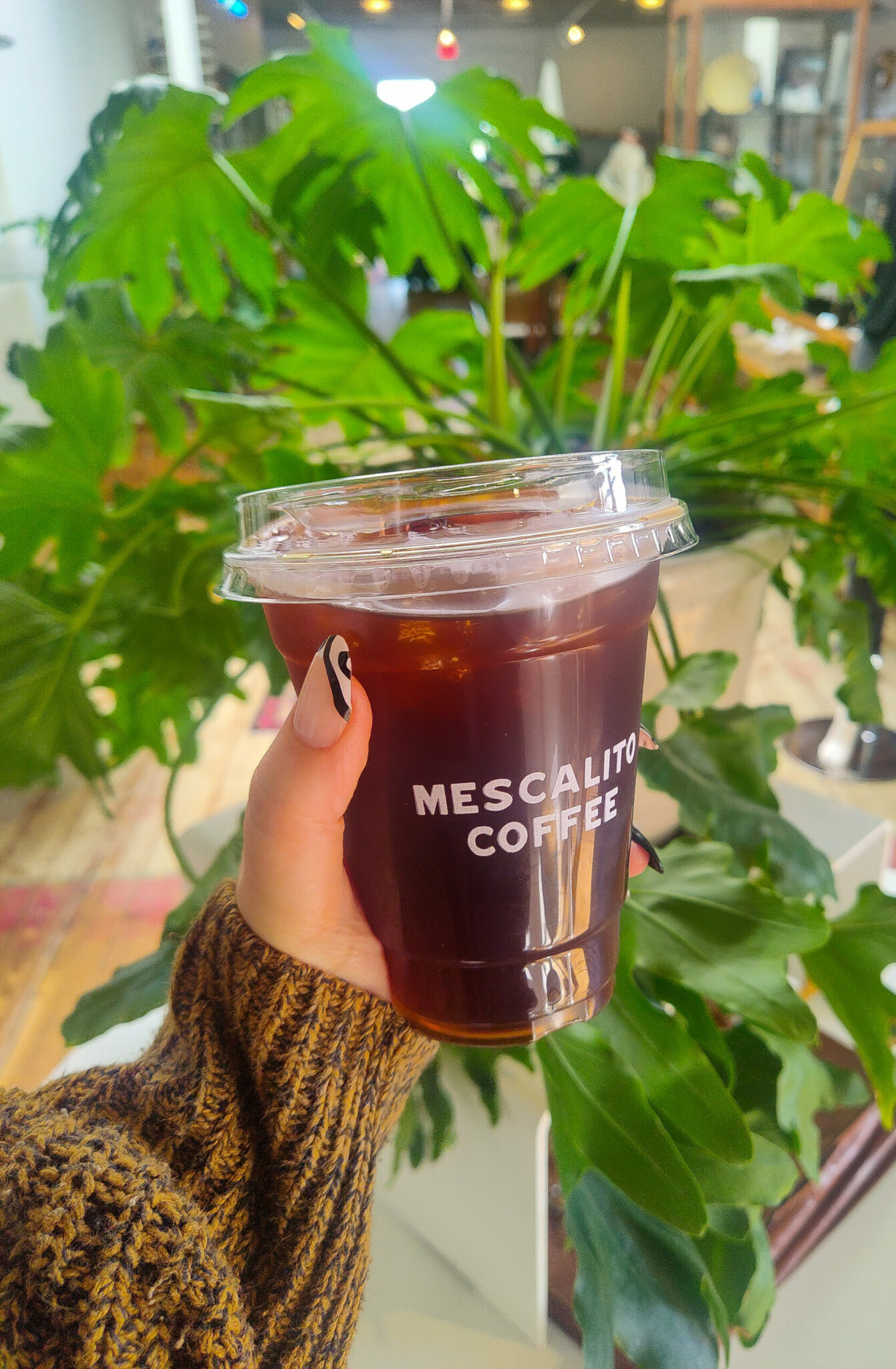 MESCALITO COFFEE | Coffee Shop | 100 E Alamo St, Brenham, TX 77833